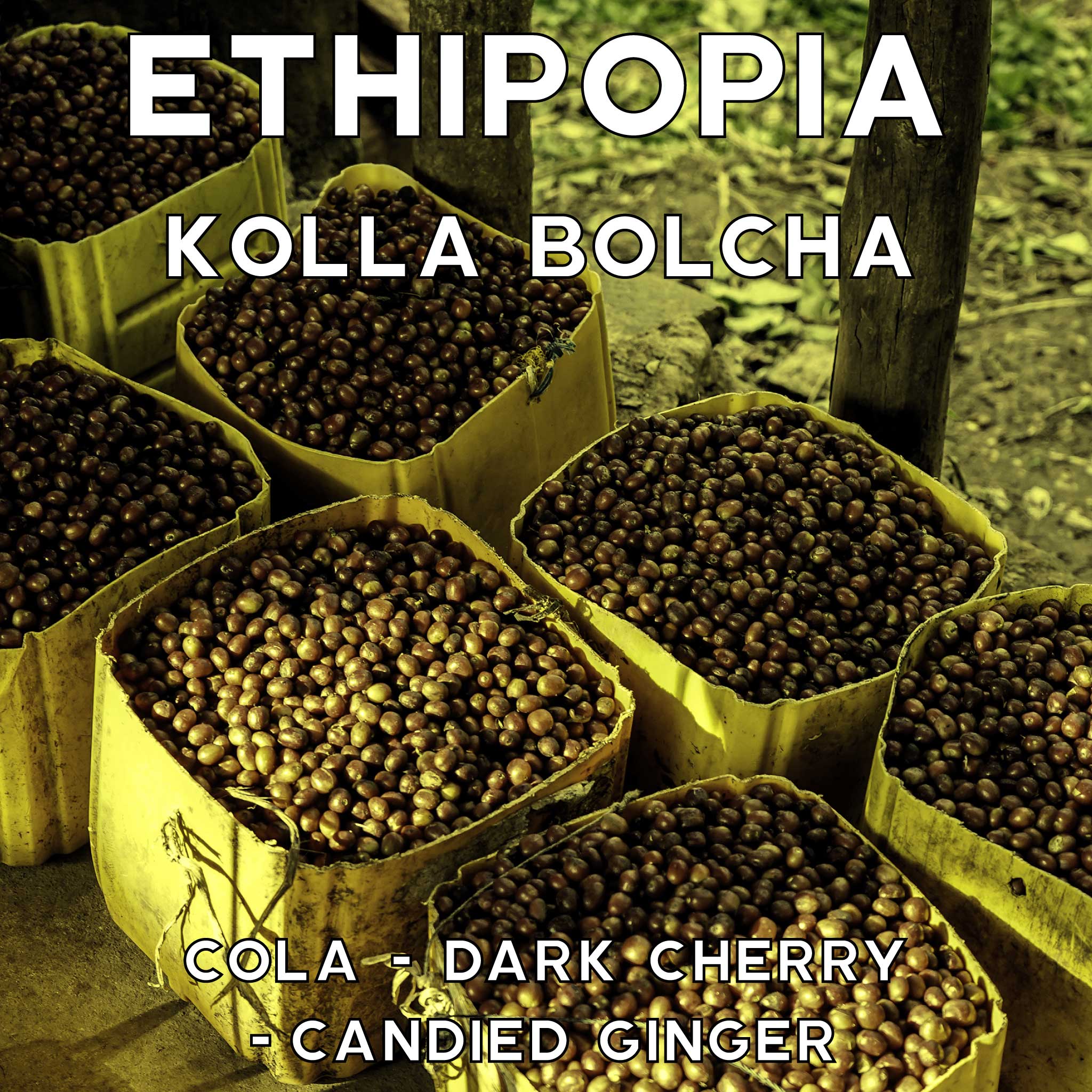 COFFEE – Dark Heart Coffee